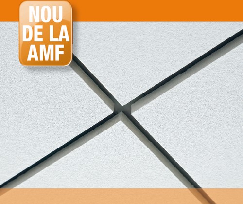 Design si functionalitate cu noul plafon THERMATEX SF Acoustic de la ...